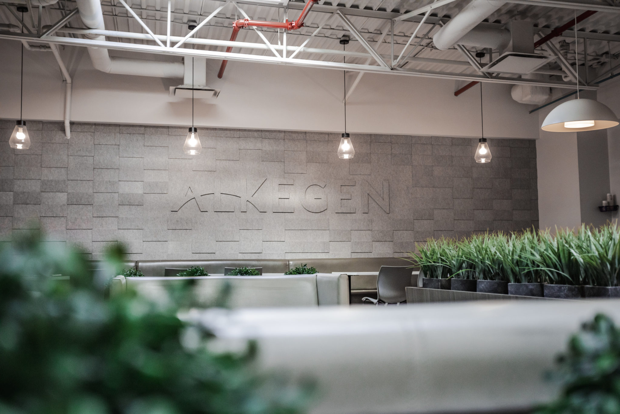 Acoustical Panels - Cafeteria - Feltkutur